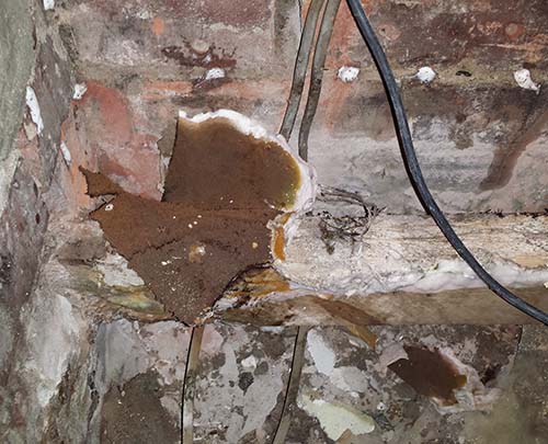 Dry Rot Treatments | K&L Damp Proofing Ltd | Hull, England